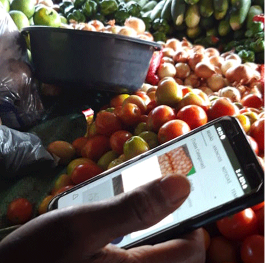 Agroponto – Digital Framers Cooperatives from Africa